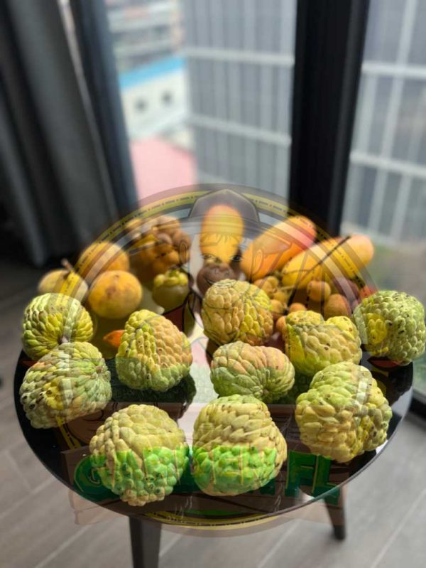 Atemoya (Annona atemoya) Tree Care: A Guide for Growing Delicious ...