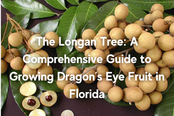 Tropical fruit gardening - Garden Florida